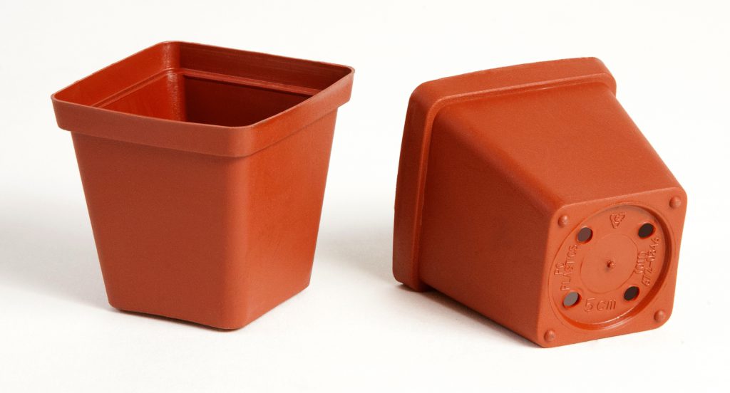 5 cm Square Pots - Cotton Picker